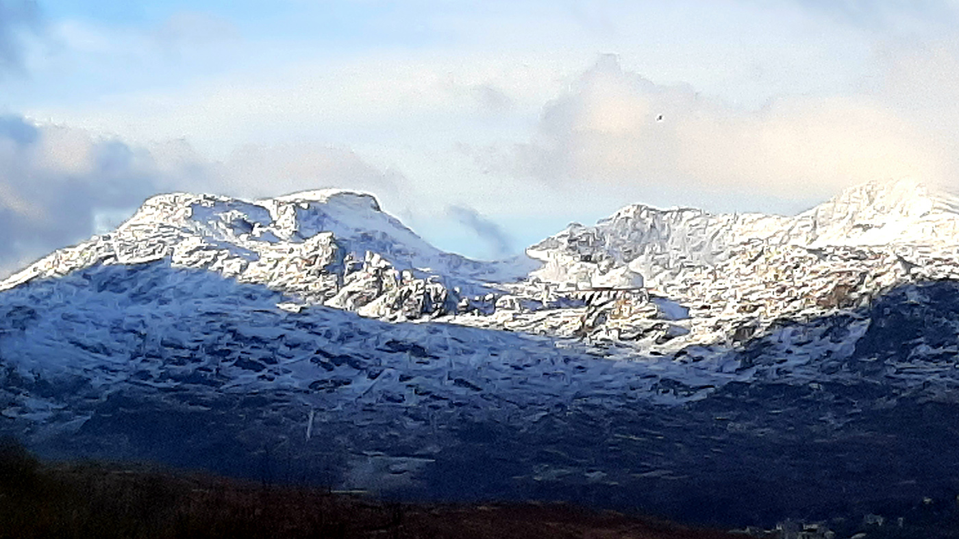 Newyddion | News – Y Manod